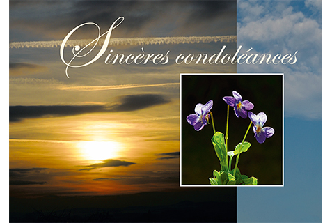 Sincères condoléances